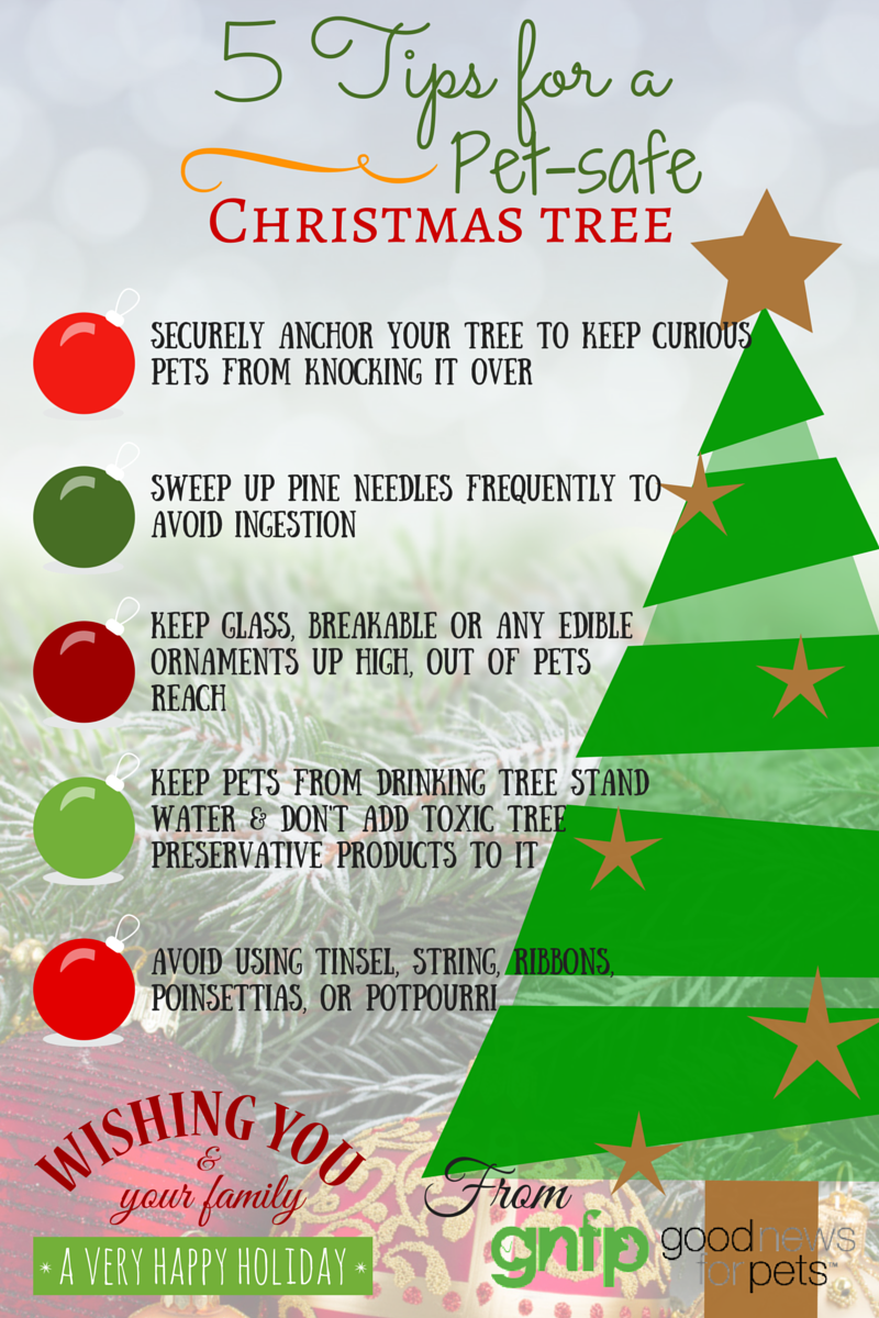 5 Tips for a Pet-Safe Christmas Tree