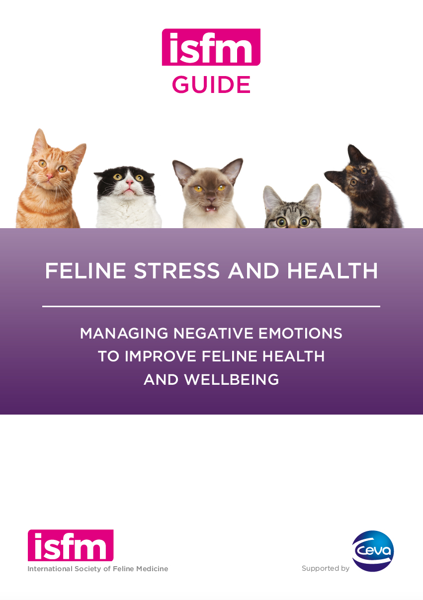 ISFM Launches New Guide on Feline Stress and Health - Goodnewsforpets