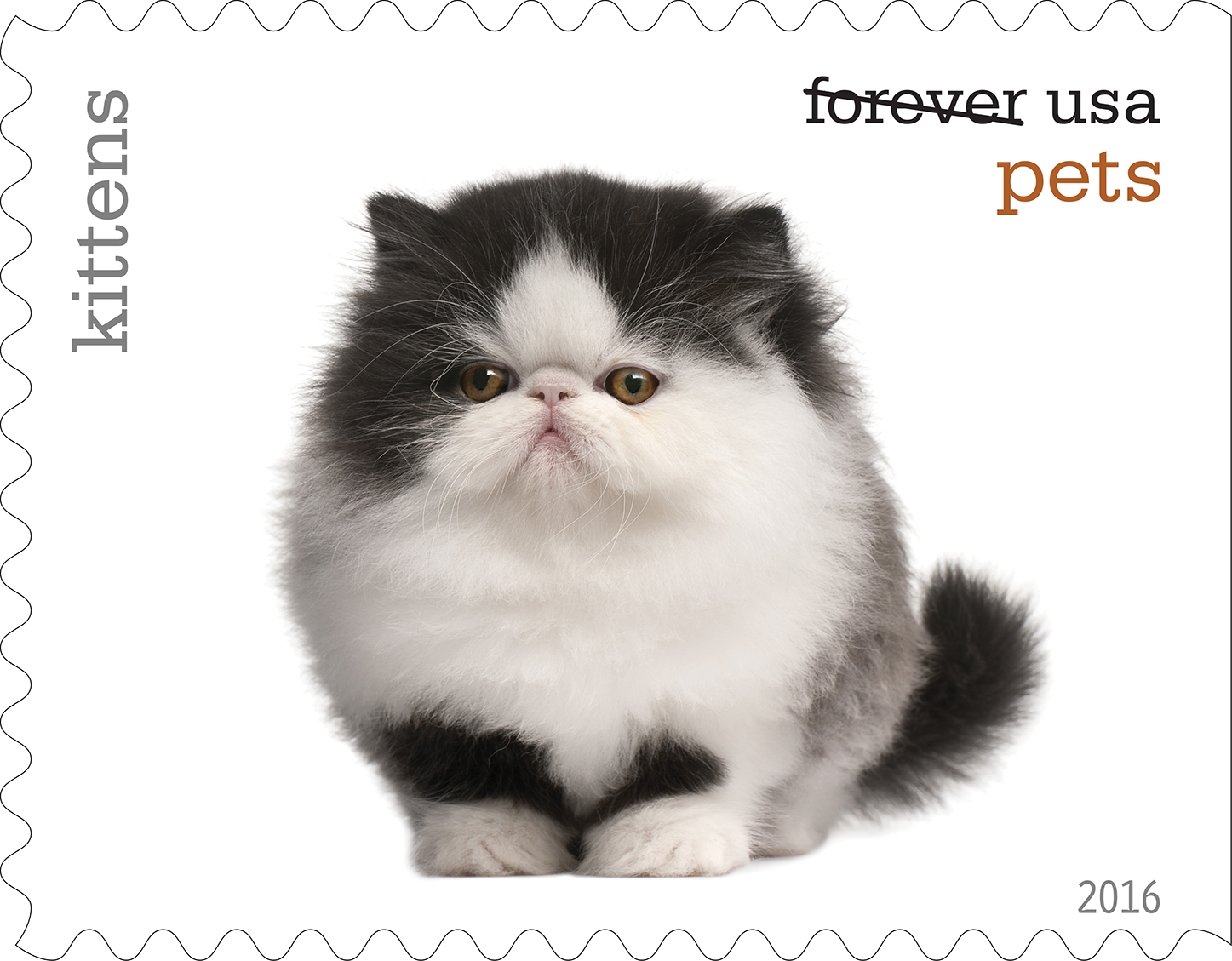 U.S. Postal Service Debuts Pets Forever® Stamps