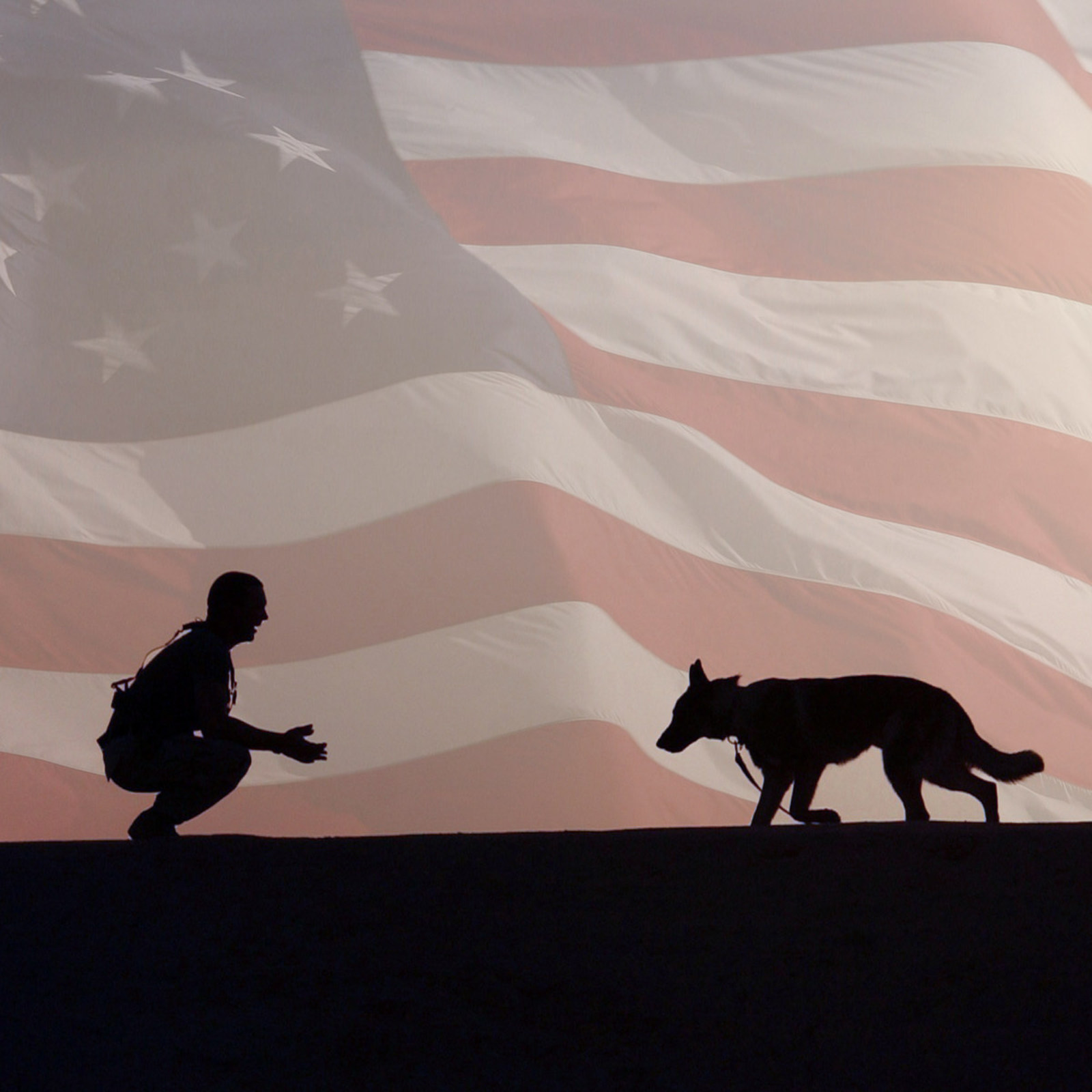 American Humane Applauds Introduction of "Pups for Patriots Act ...