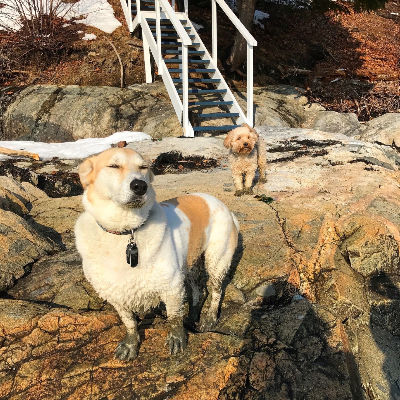 ‘Craig & Fred’ Takes You Into Emotional Trenches with Marine and a ...