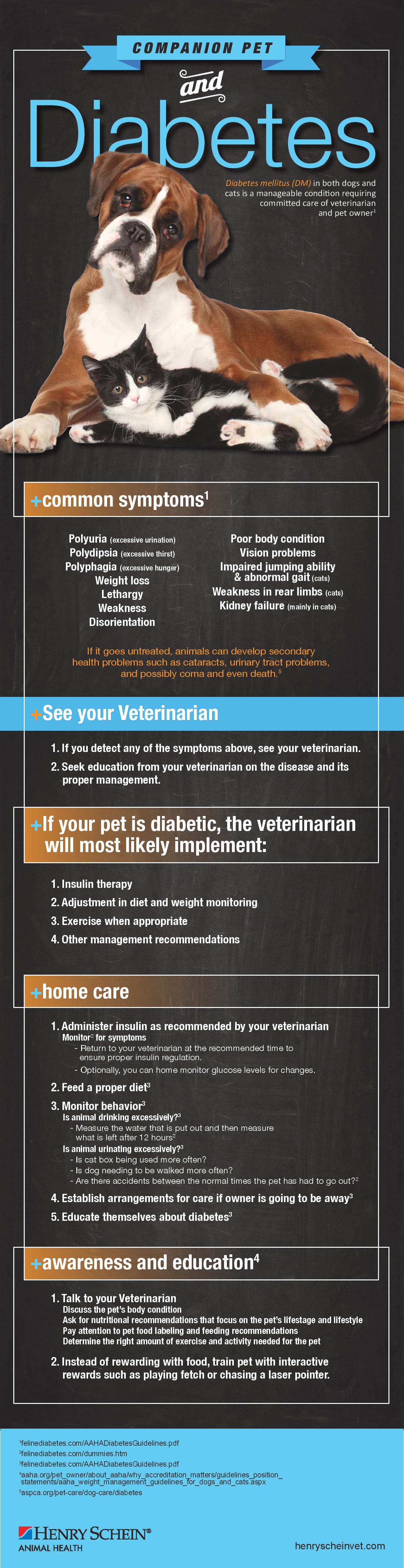 Henry Schein Animal Health Creates Pet Diabetes Resource Center