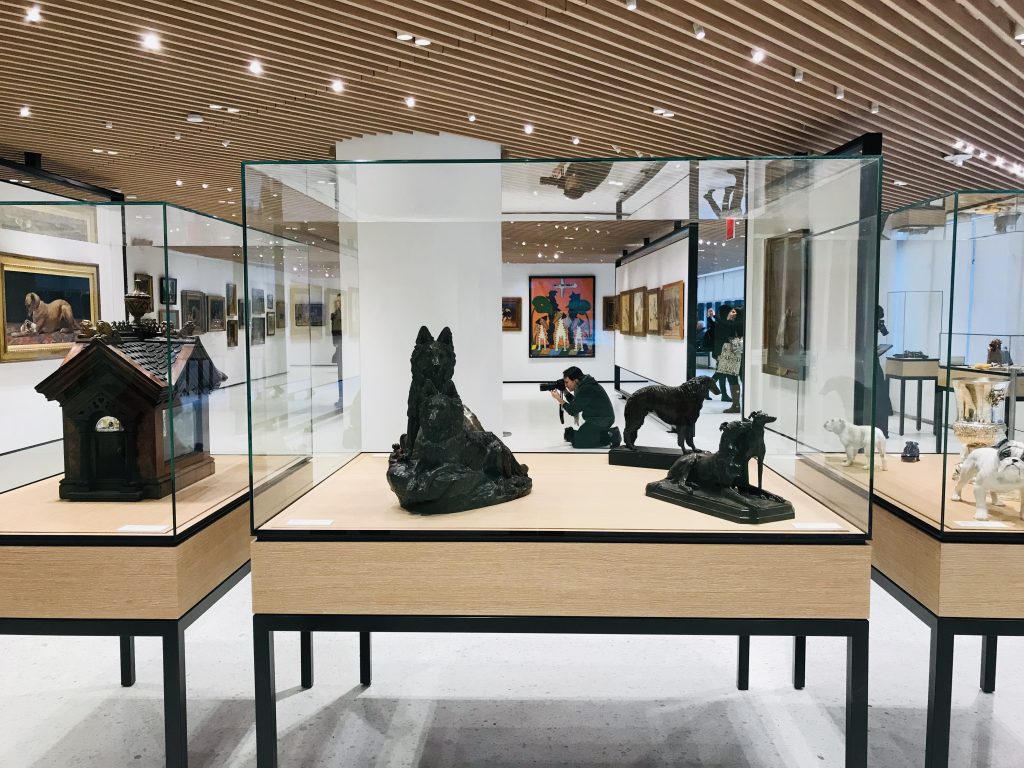 The AKC Museum of the Dog Opens Its Doors And Now It's Showtime Year ...