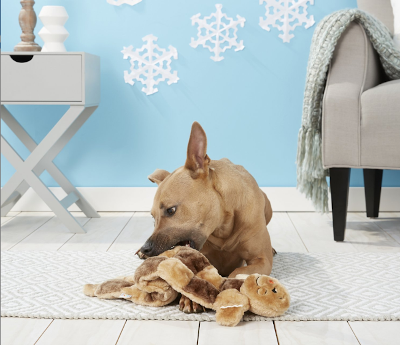 The Gingerbread Man Brings Joy to Big Pups Too! - Goodnewsforpets