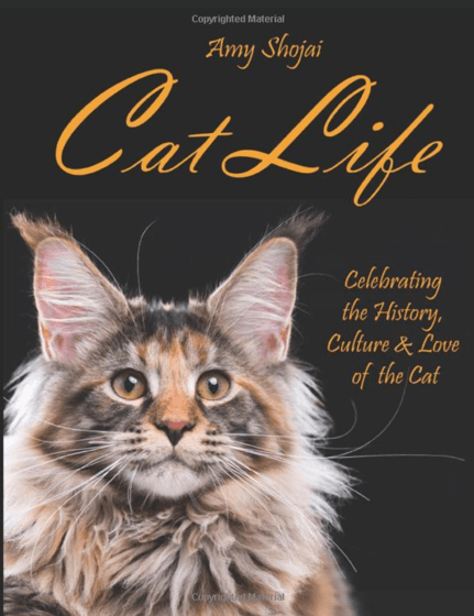 Cat Writers' Association Members Tell What It Takes To Write A Winning ...