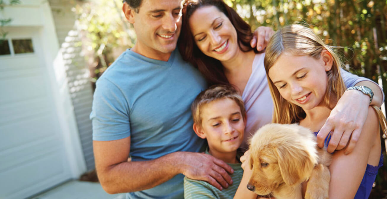 AVMA Tips for Socializing Dogs During a Time of Social Distancing ...