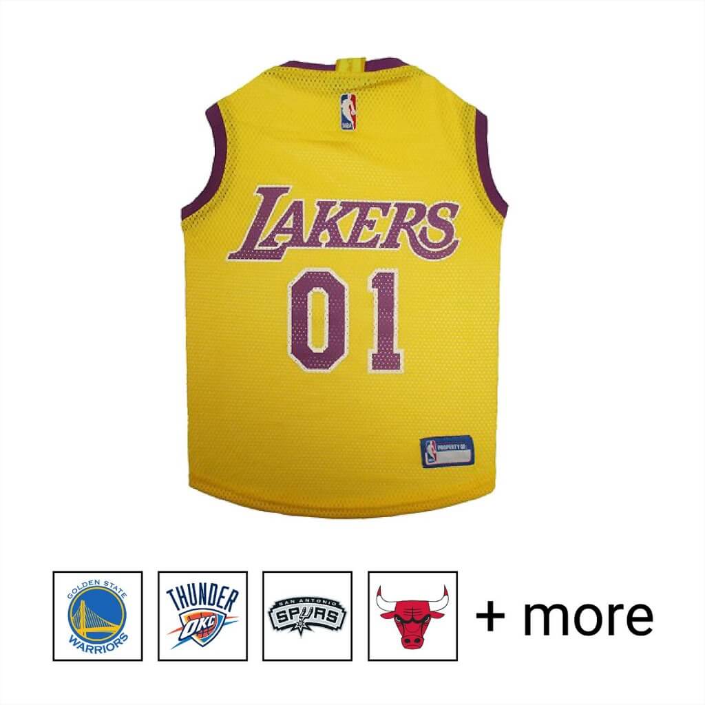 The NBA Season is Back! Celebrate by Gifting Your Pet Some NBA Merch ...