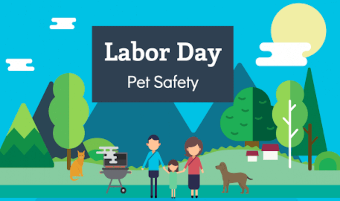 Labor Day Pet Safety Tips