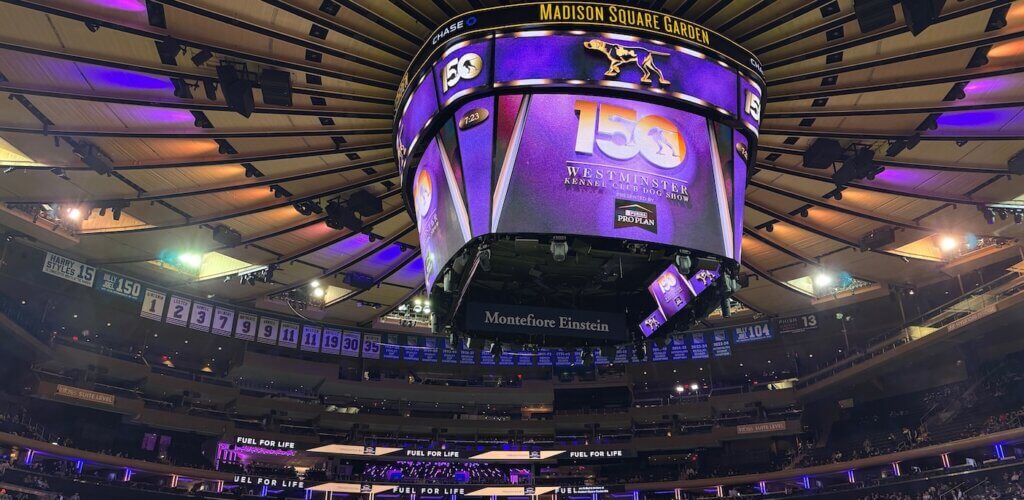 The 150th Westminster Kennel Club Dog Show Day One Results ...